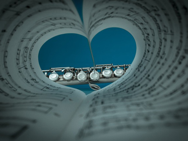 Querflöte lernen mit Querflötenunterricht in Seddiner See (14554)